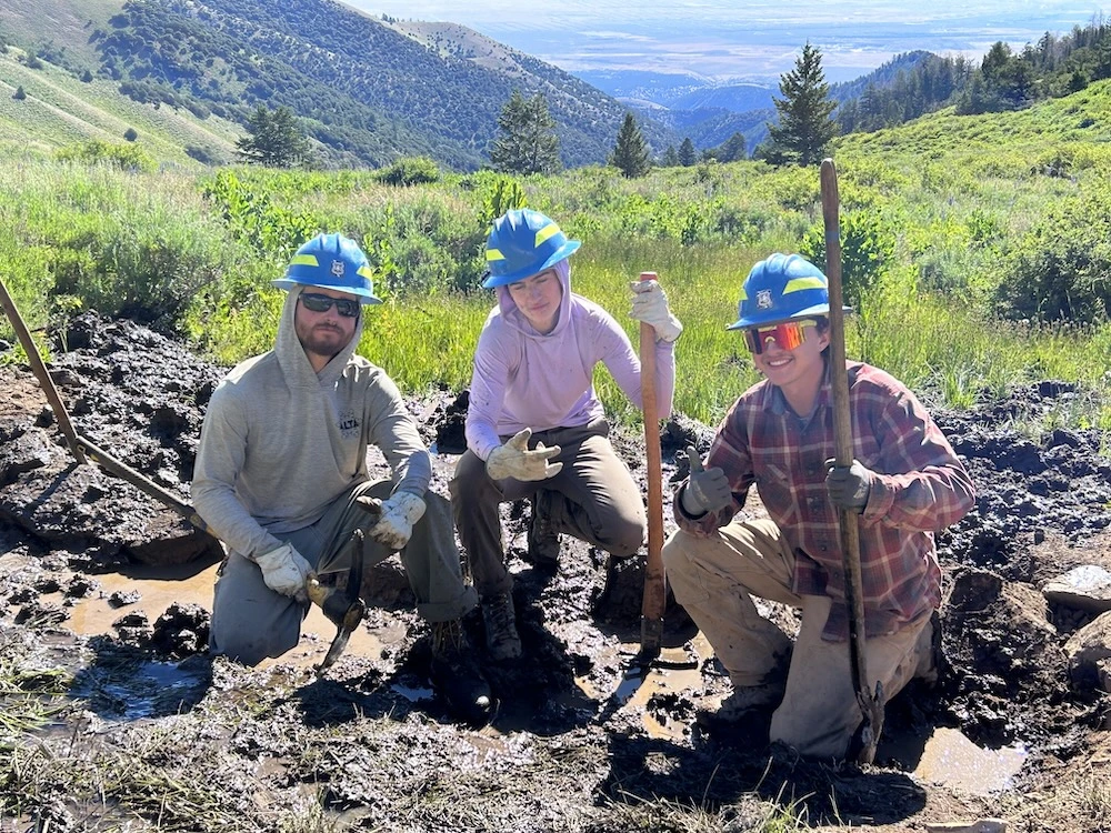 What's Lost When We Cut the Forest Service - Lands Untold
